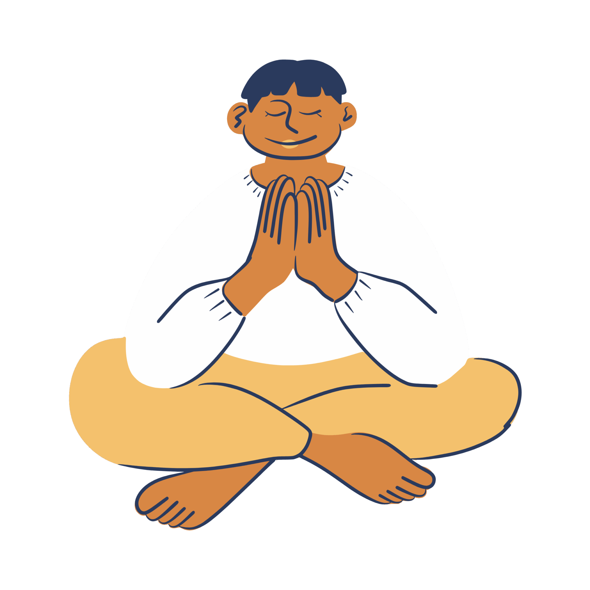 The Healing Program - Doctor Ramani